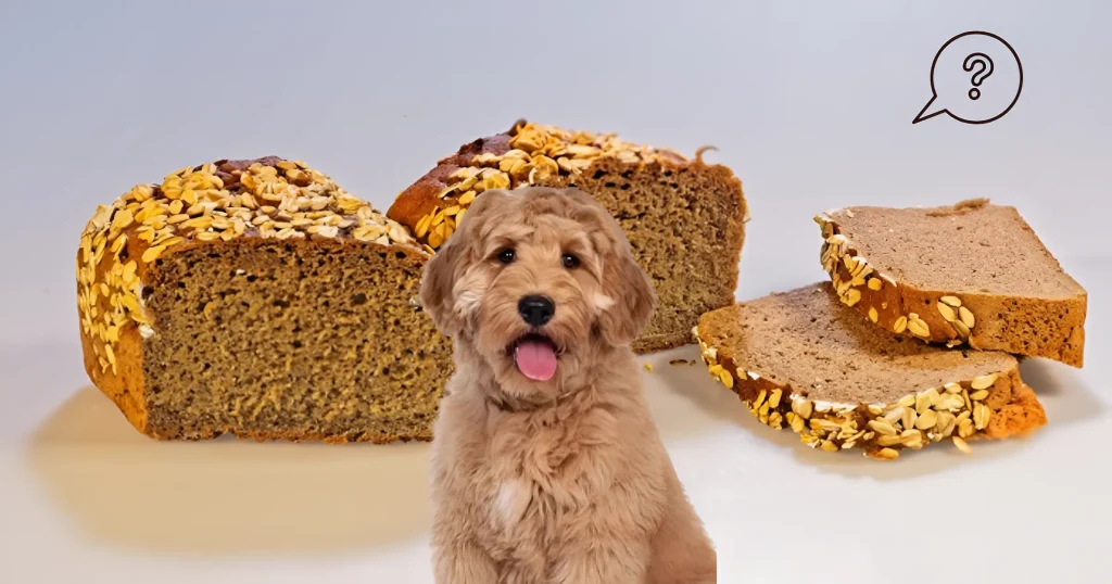 Can Dogs Eat Whole Grain Bread? Healthy Tips 2025
